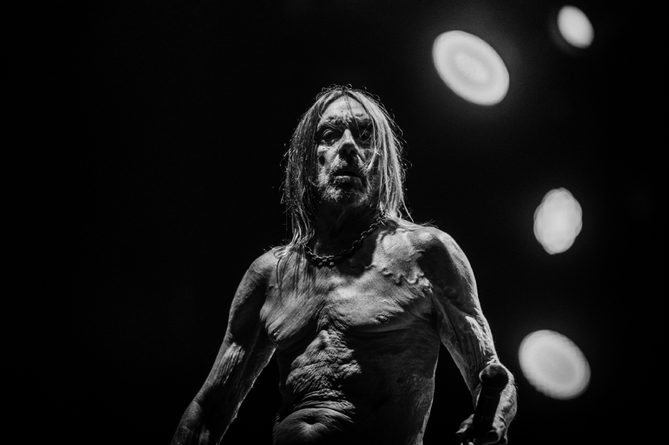 Iggy Pop 'Too Rickety' To Stage Dive | theMusic.com.au | Australian ...