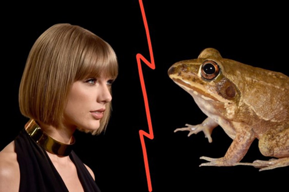 ARIA Chart Upset As Frog Croaks Beat Global Superstars | theMusic.com ...